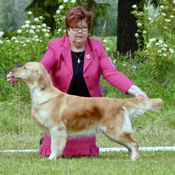 SEU(u)CH NOUCH Kapplandets Shier Nu Stefania :: Kapplandet